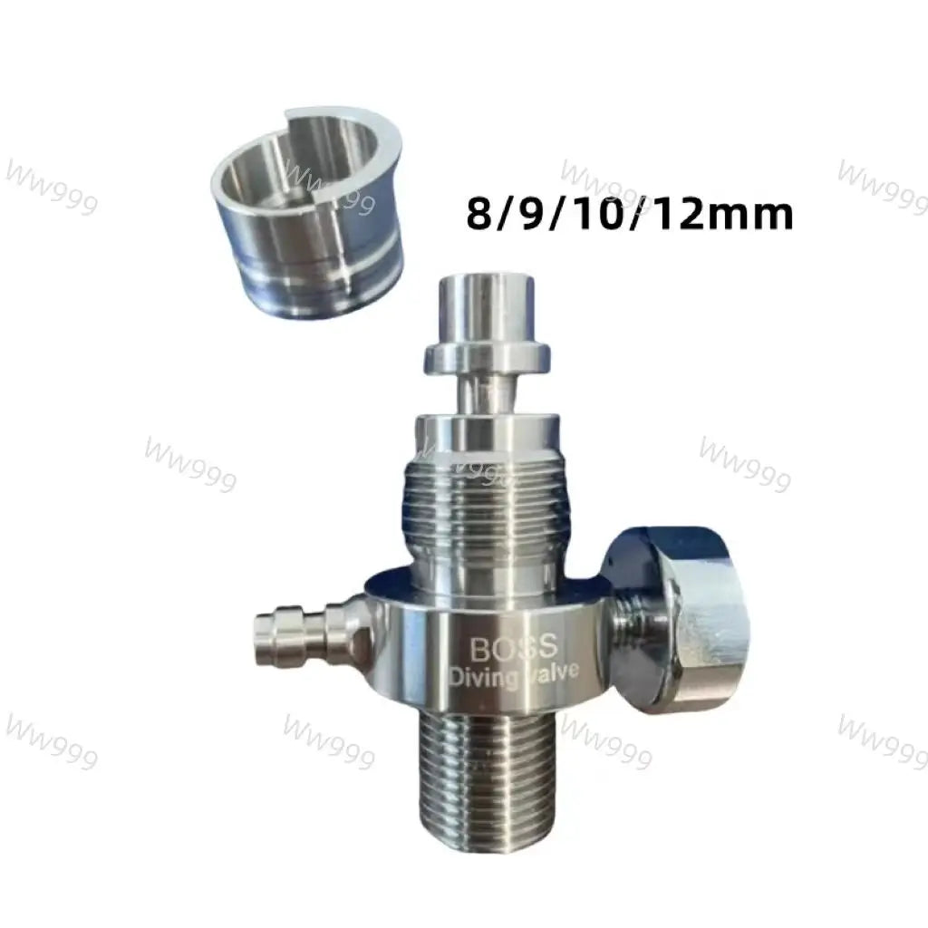 PCP Direct Injection Valve Boss | Constant Pressure Valve with 30MPA M ...
