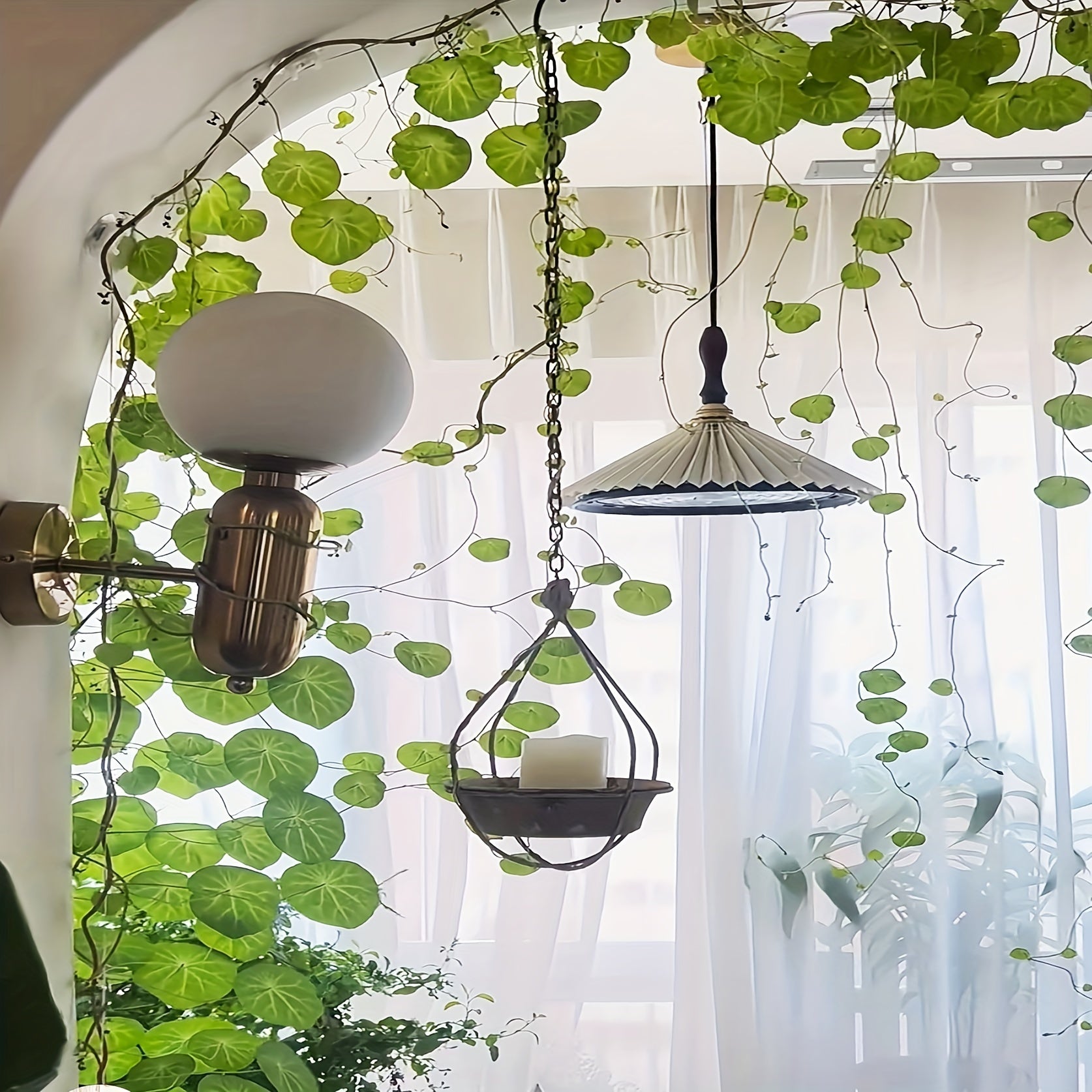 Dried Rattan Plant - Sacred Prayer Plant for Home Decoration, Brings G ...